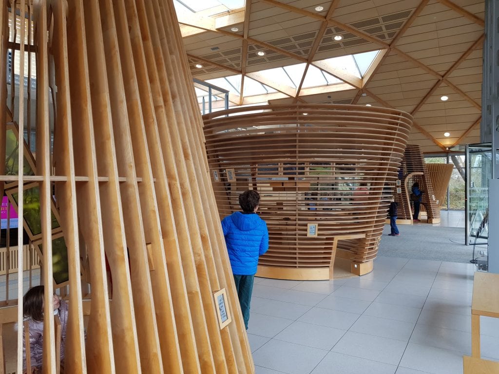 Things To Do In Woking With Children - FAMILY TRAVEL EXPLORE